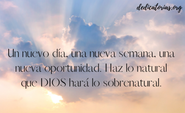 Dedicatorias para Dios 【¿Crees en él? 🥇】Entra =)